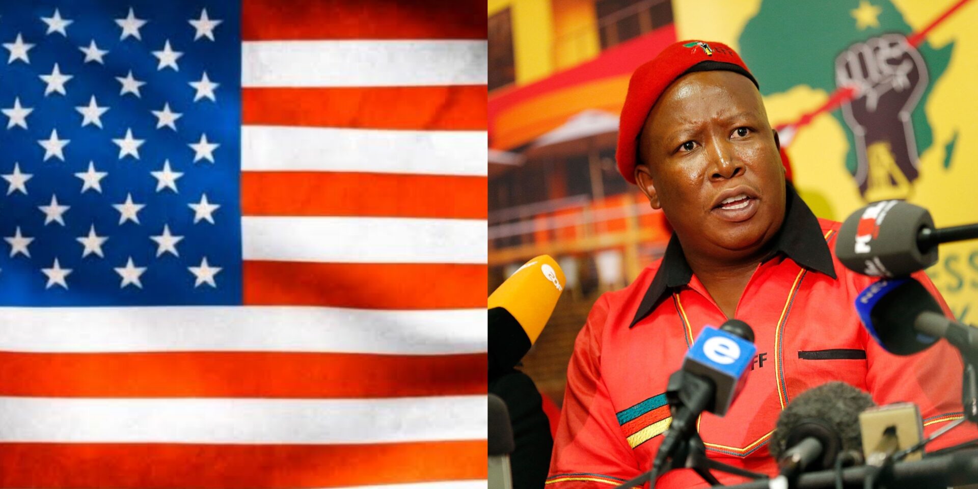 Julius Malema says He’d Rather Visit Nigeria for Jollof Rice and Pepper ...